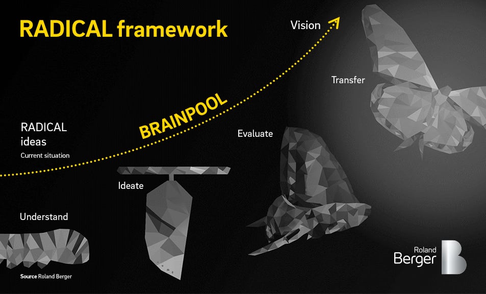 Roland Berger Radical